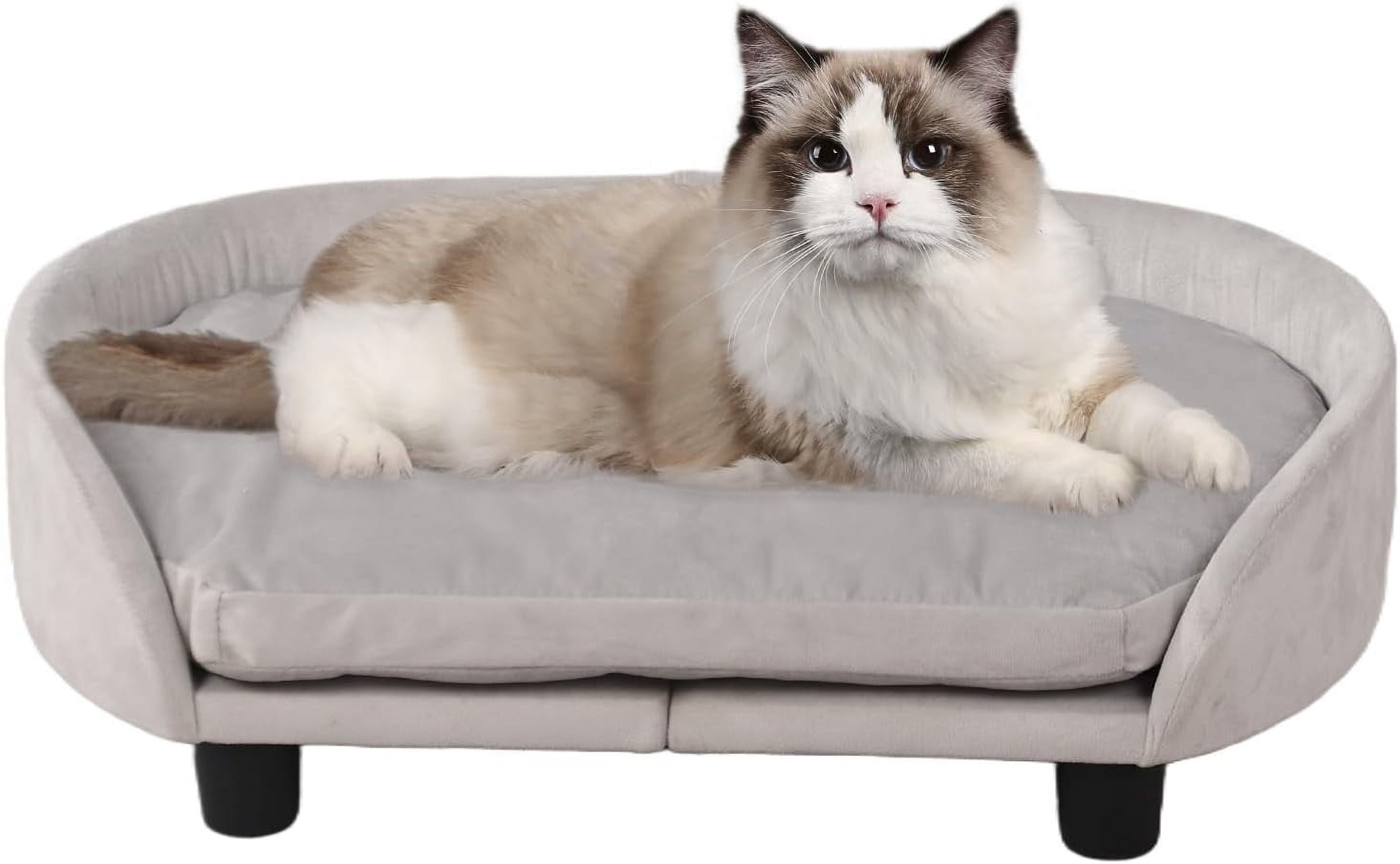 Cat Sofa Bed, Velvet Pet Couch Chair with Removeable & Washable Cushion ...