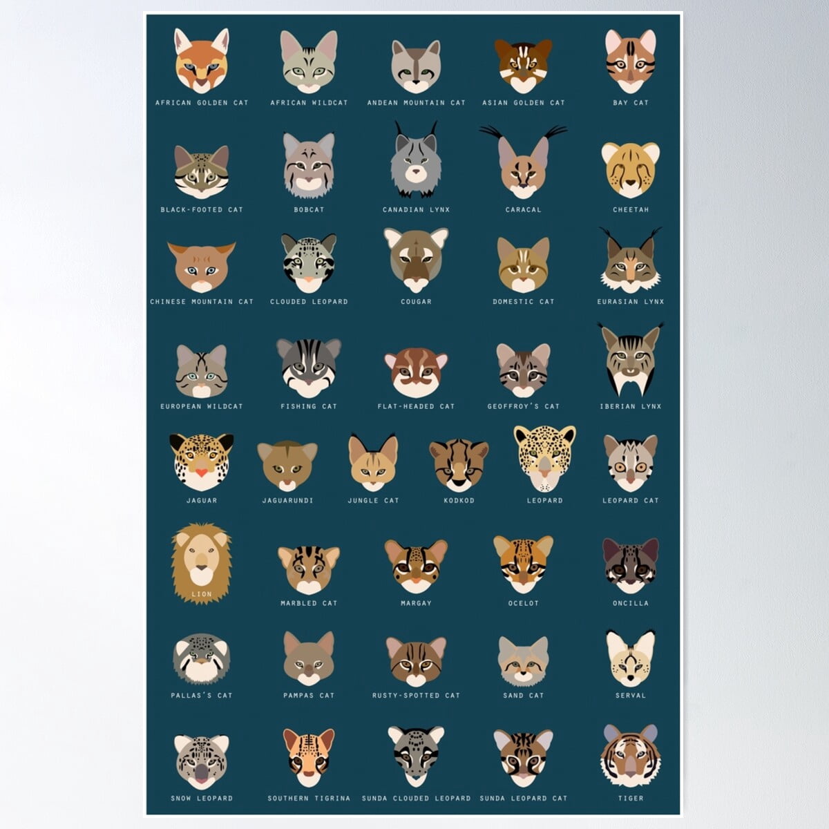 Cat Species (No Subspecies) Poster Wall Art, Modern Wall Decor For ...