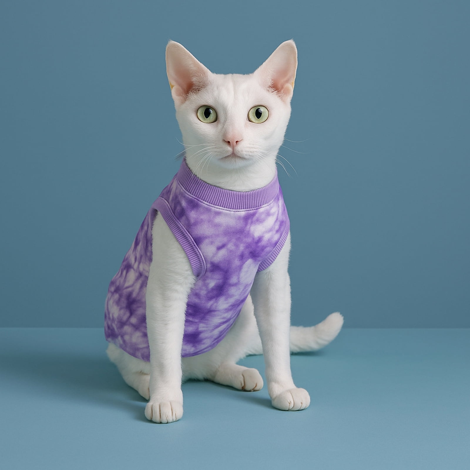 Cat Surgery Recovery Suit, Recovery Suit for Female Male Cats, Cat ...