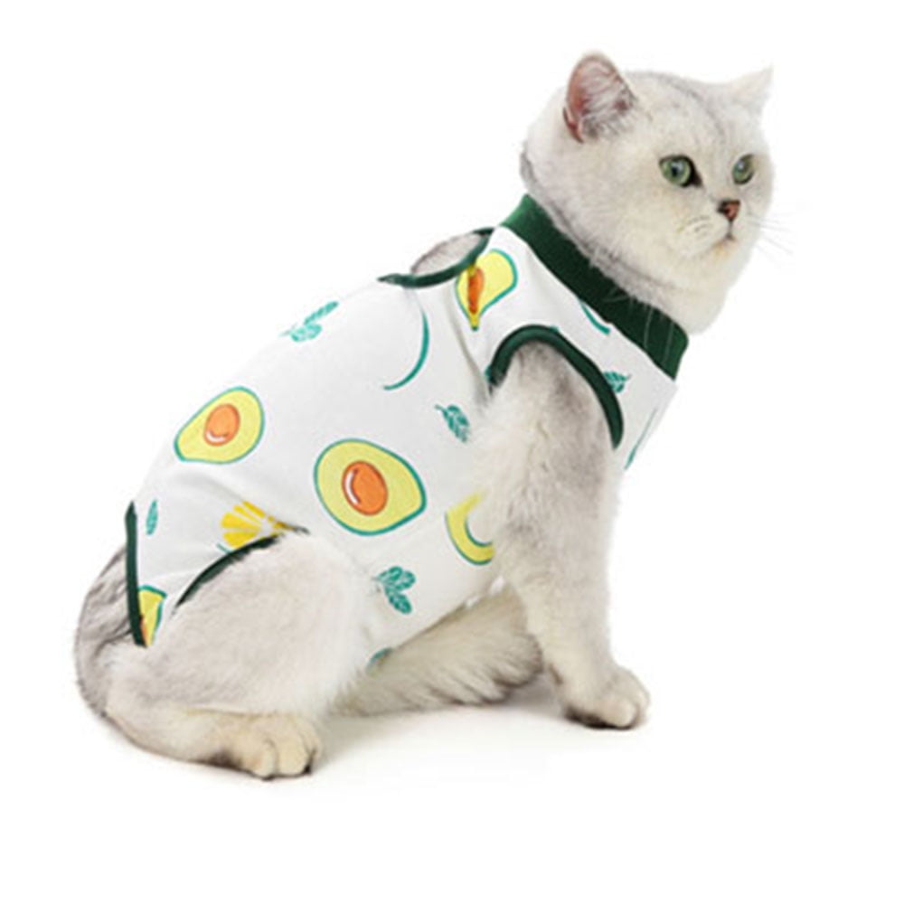 Cat Surgical Recovery Suit, Breathable Kitten After Surgery Wear Pet ...