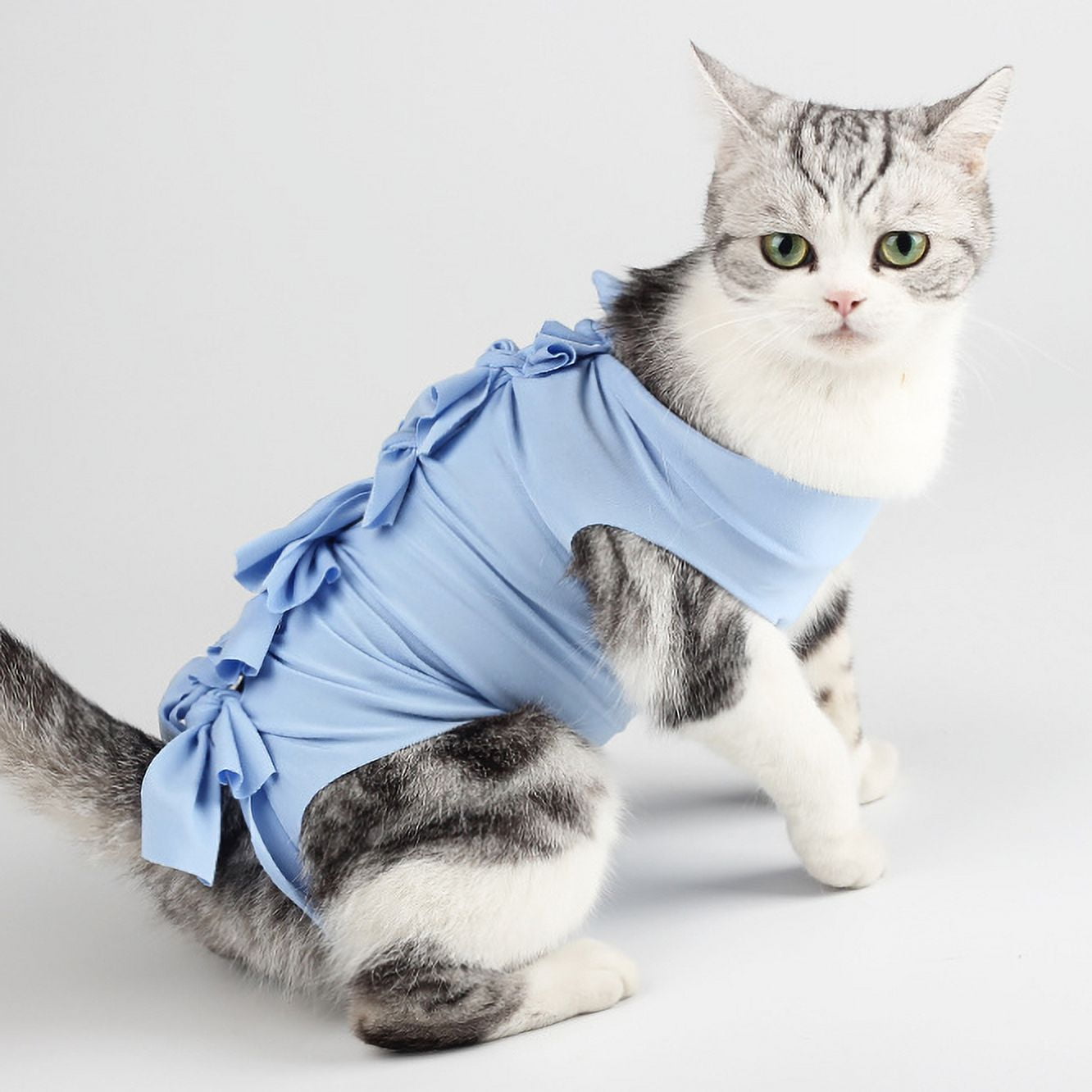 Cat Surgical Recovery Suit Professional for Male Female Dog Abdominal ...