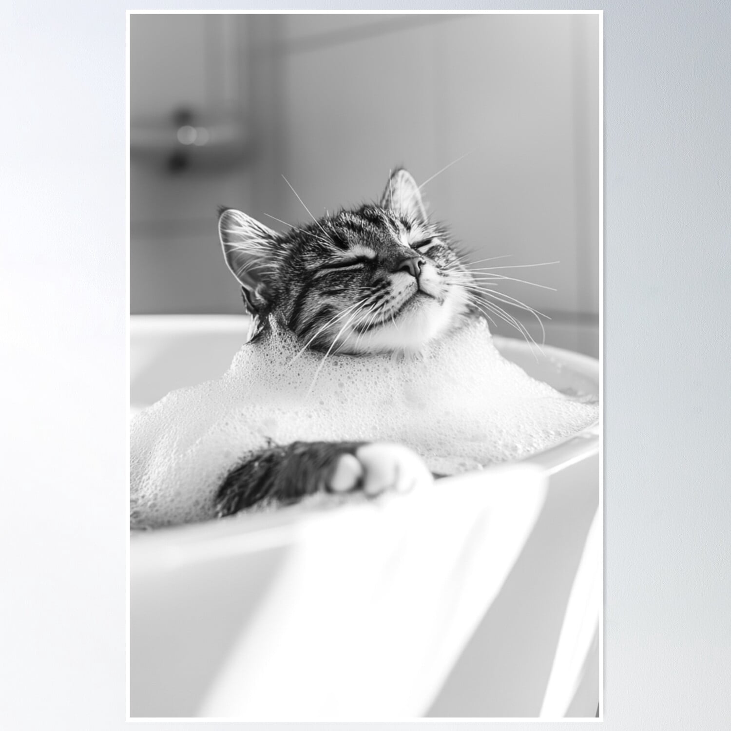 Cat Taking A Bath, Funny Vintage Animal Photo Poster Wall Art, Modern ...