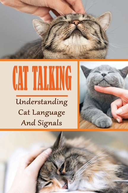 Cat Talking: Understanding Cat Language And Signals: How To Talk To ...