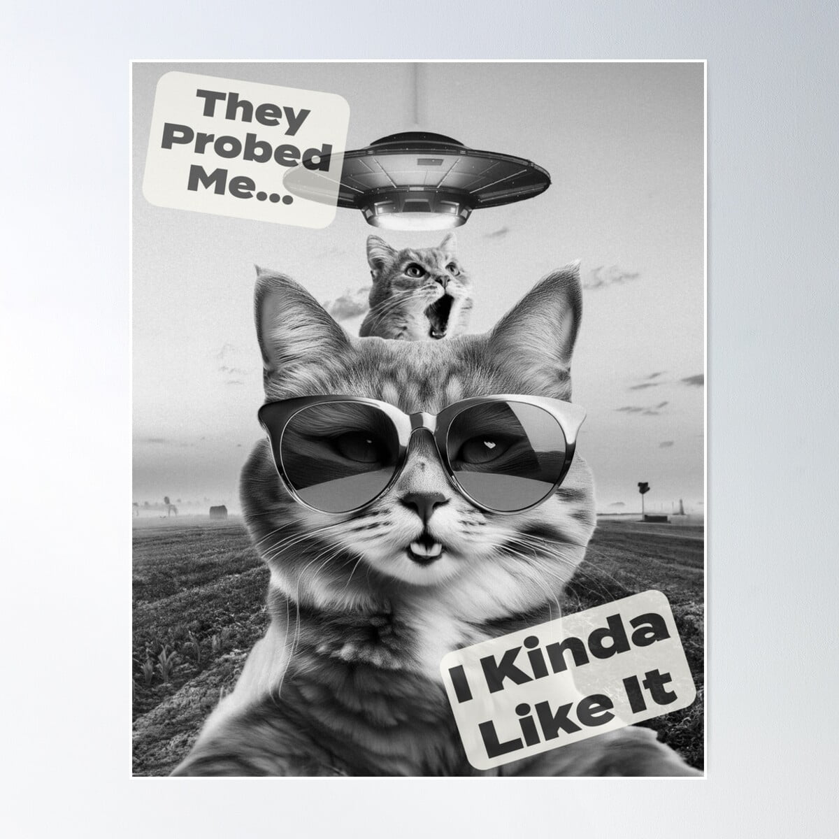 Cat-Tastrophic Funny Alien Abduction Meme Design Poster Wall Art ...
