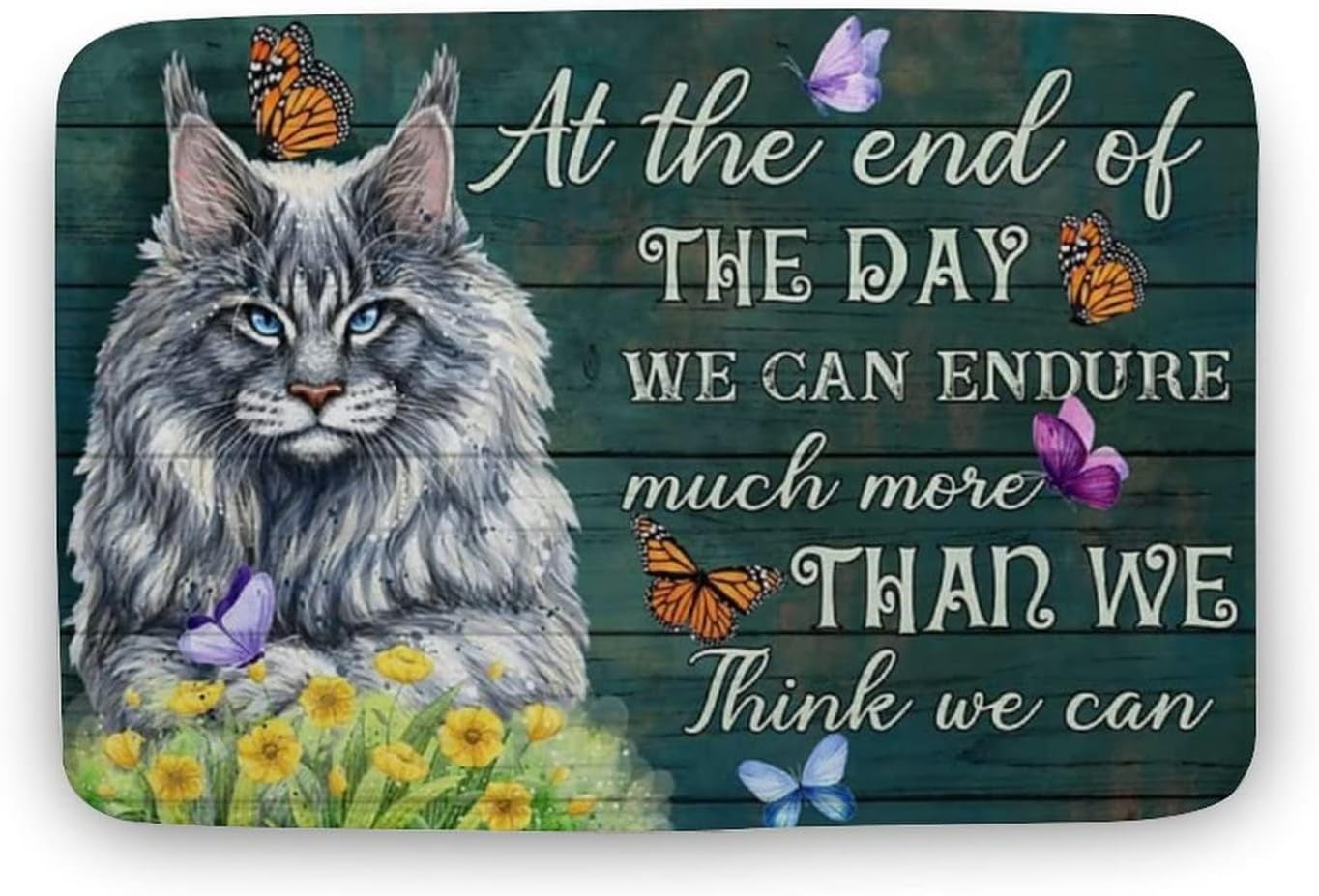Cat at The End of The Day Doormats Non-Slip Entrance Front Door Rug ...
