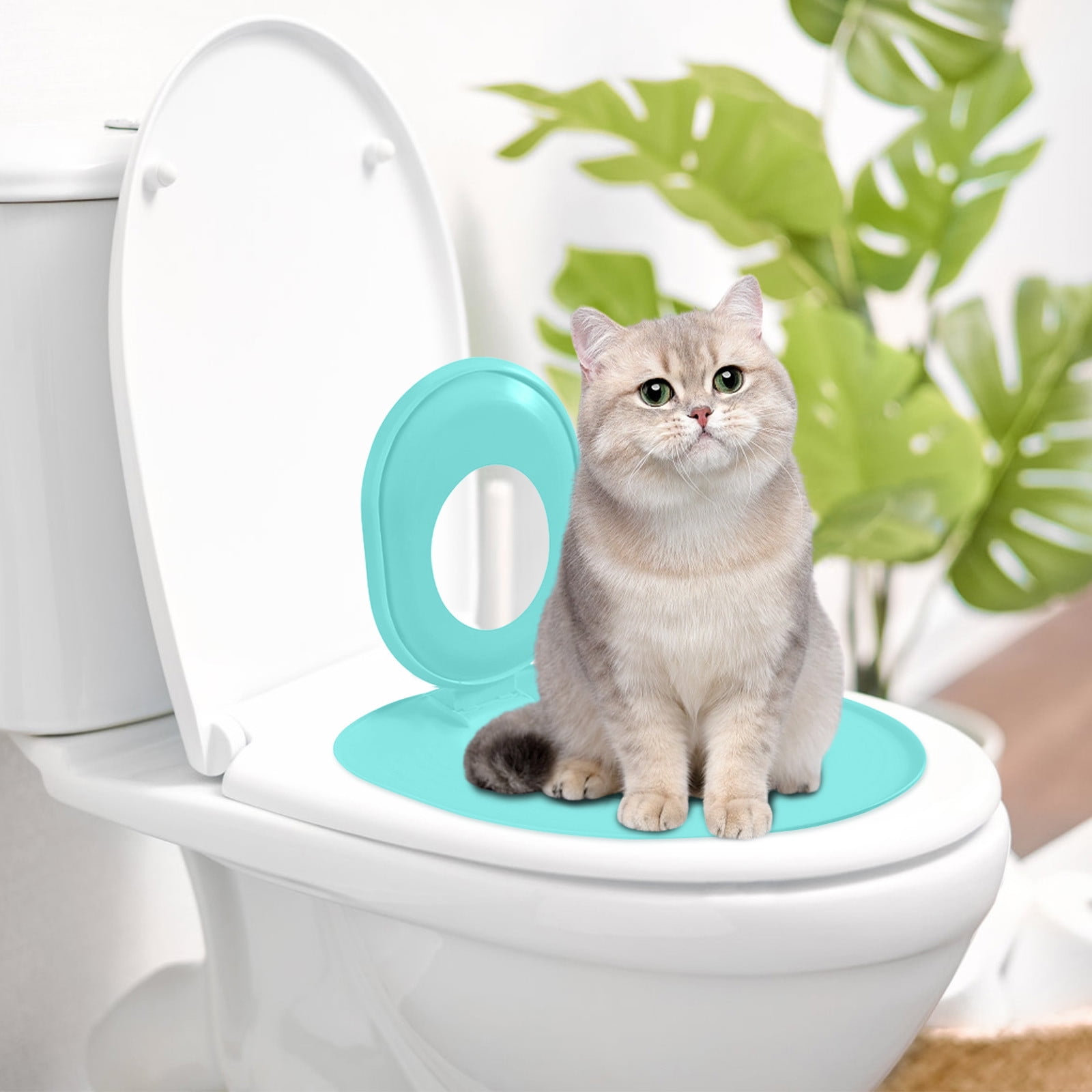 Cat Toilet Seat Training Kit - Cats Toilet Trainer | Litter Box Trainér ...