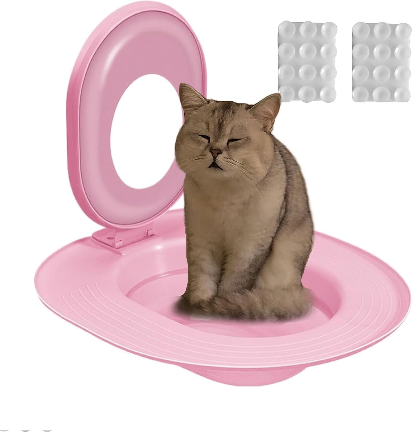 Cat Toilet Seat Training Kit, Pets Potty Trainer, Toilet Litter Box ...