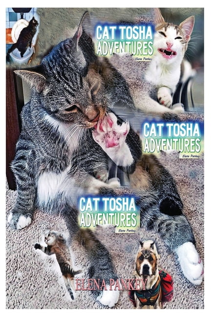 Cat Tosha Adventures: Fun Real Stories (Paperback) - Walmart.com