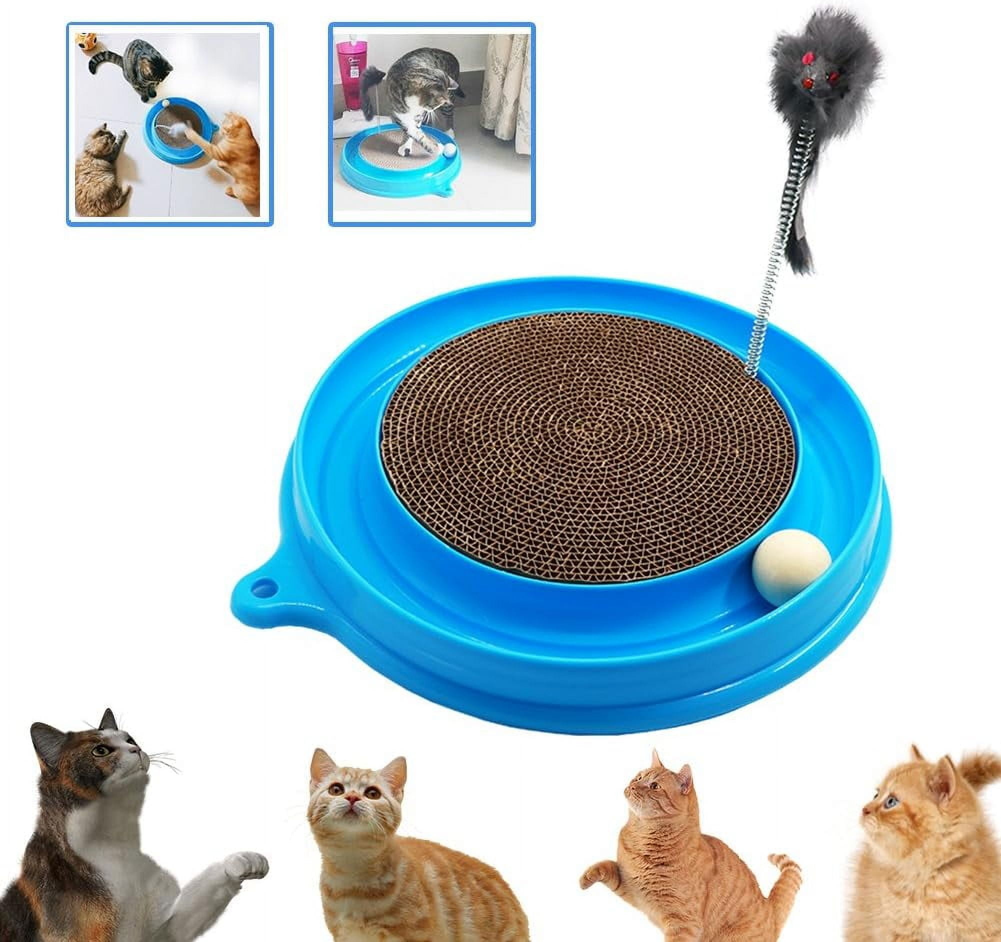 Cat Toy Ball Track, Durable Scratching Pad For Indoor Cats, Blue (13 ...
