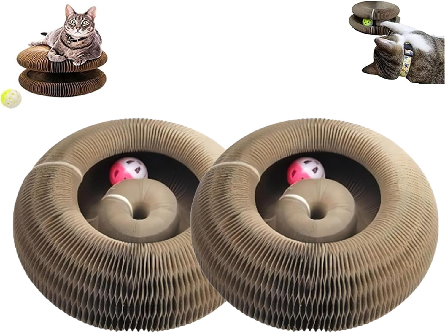 Cat Toy, Magic Organ Cat Scratcher, Marlene's Pet Store, The Original ...