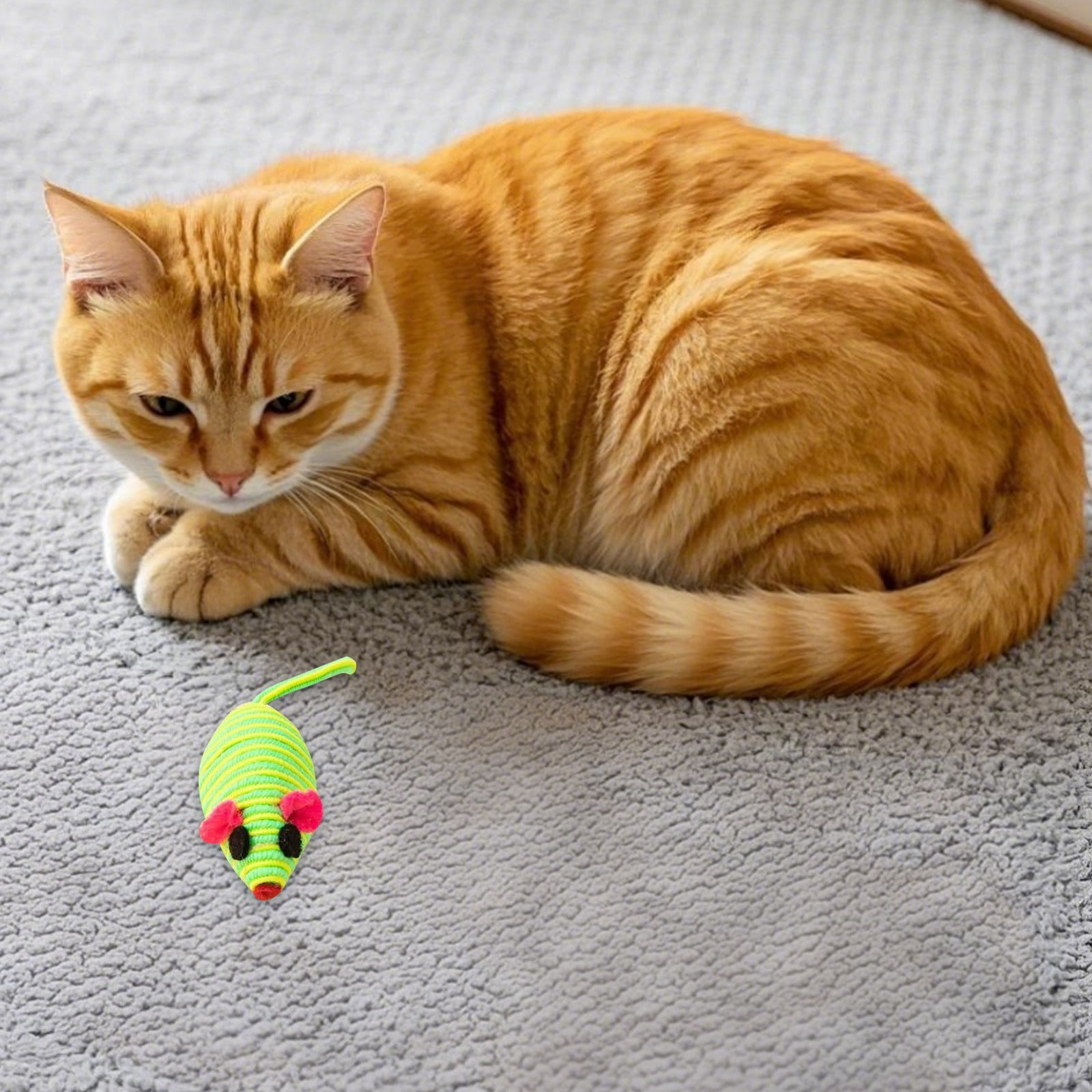 Cat Toy Set Interactive Feather Chew and Scratch Play Activity for ...