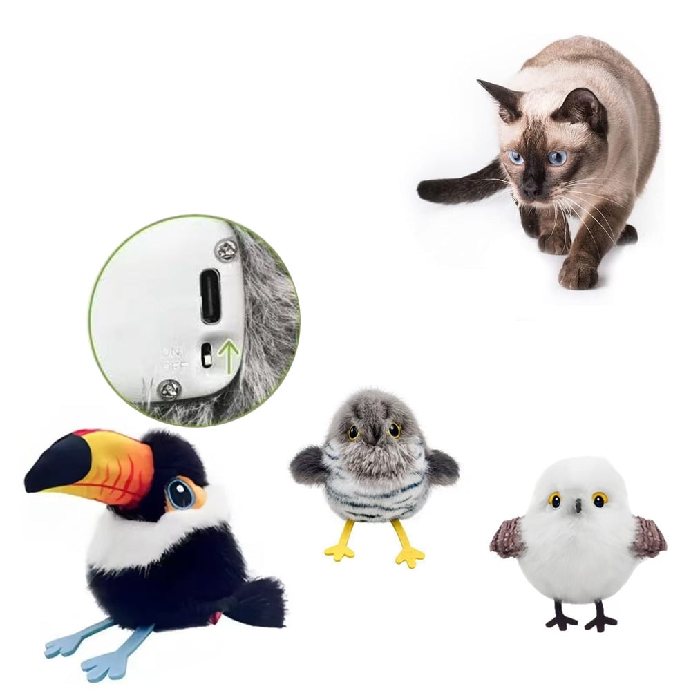 Flapping Wings Cat Kickernull