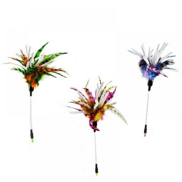 Qoosea 15-Piece Multipack Cat Feather Toys: 2 Extendable Wands and 13 ...