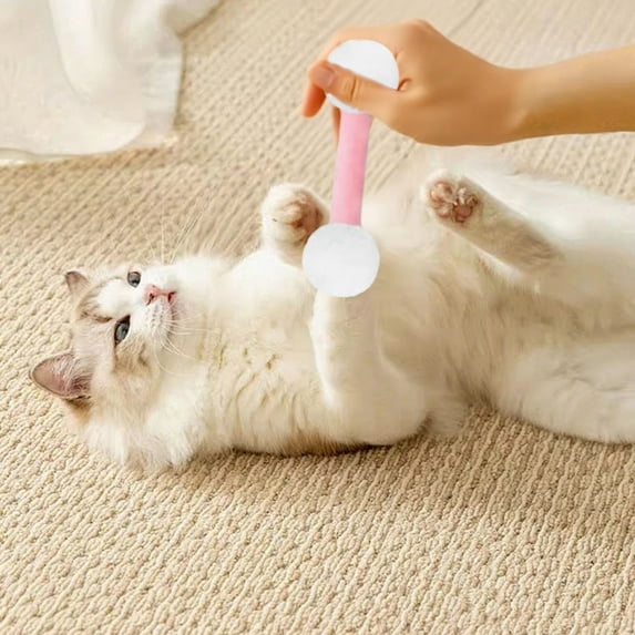 Cat Toy Sturdy Teething Chew Toy Toys for Cats Soft Interactive Kitty ...