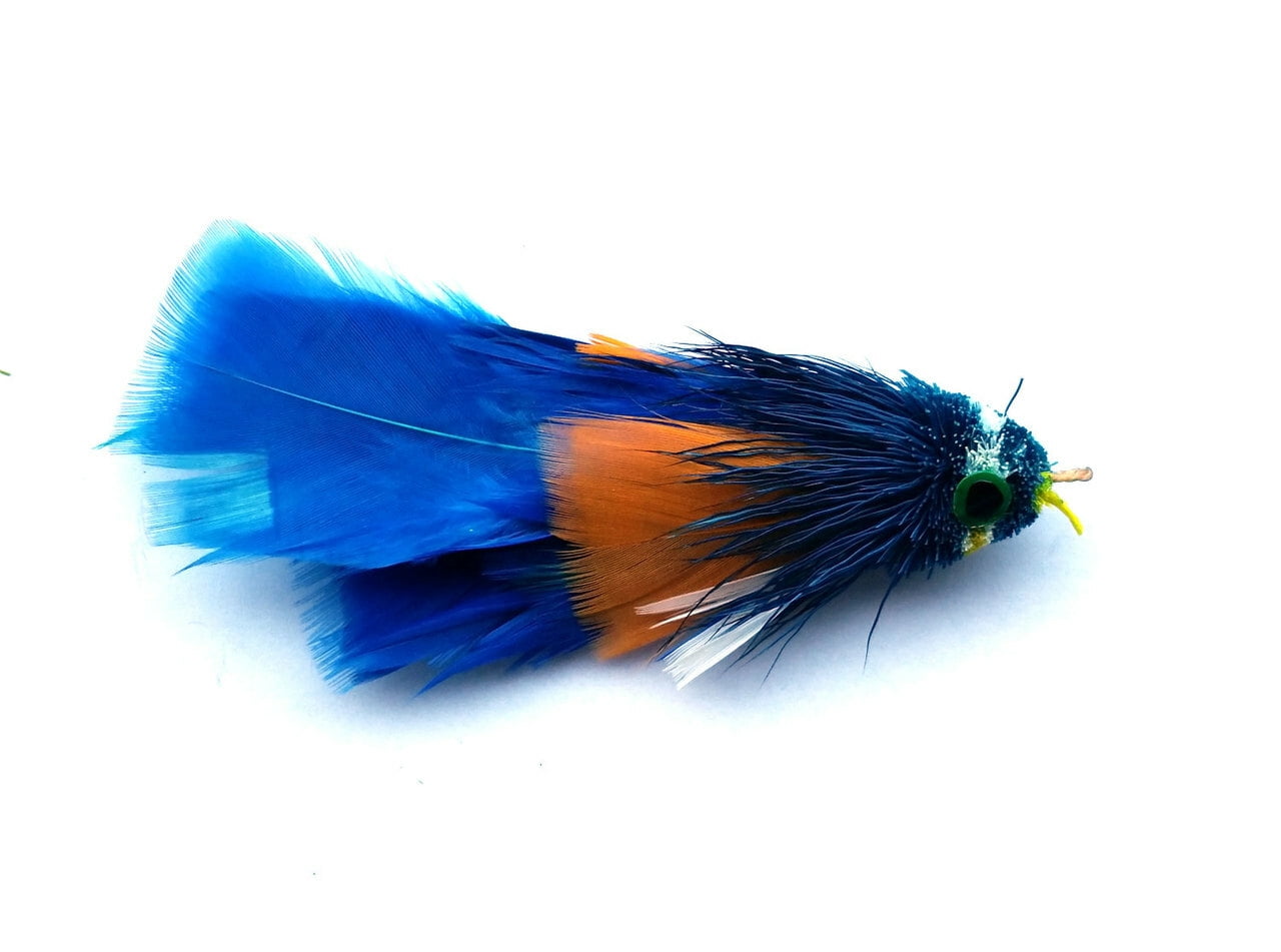 Cat Toy Wand Refill Parrot KatFly® Teaser Attachment - Blue - Walmart.com