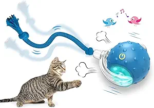 Cat Toys Ball for Indoor Cats - Interactive Automatic Cat Ball Toy ...