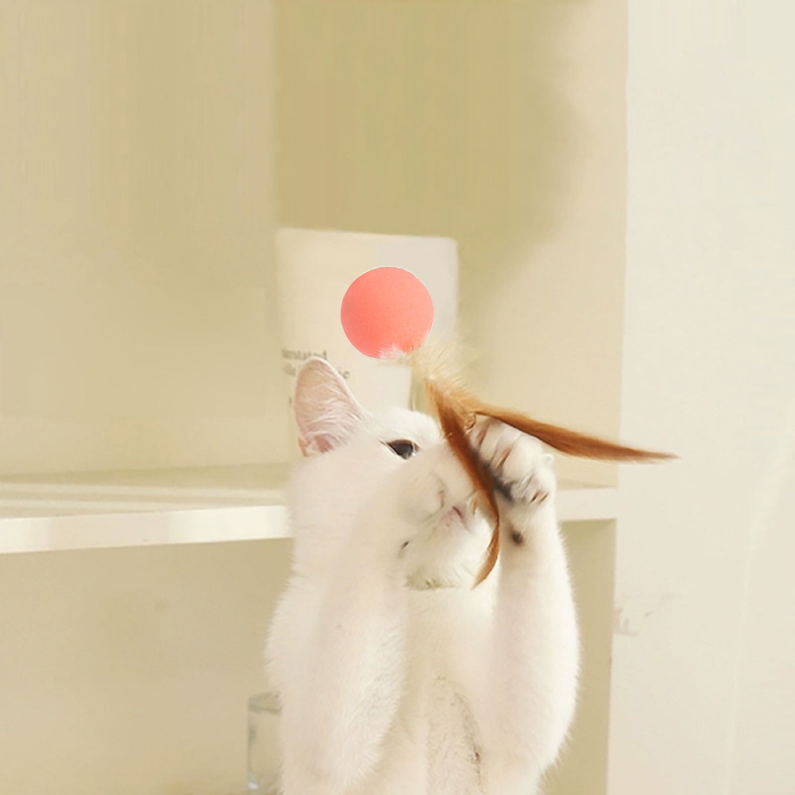 Cat Toys Interactive Bouncy Ball with Feather, for Indoor Play, Outdoor ...