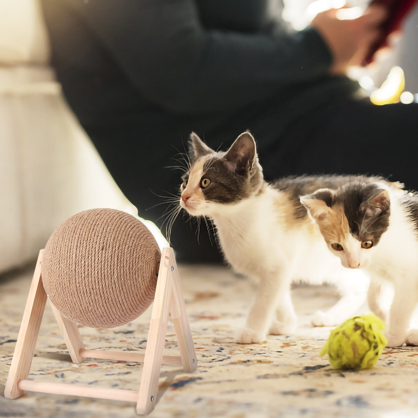 Cat Toys for Kids Scratching Board Toy Wooden Scratching Ball Grinding ...