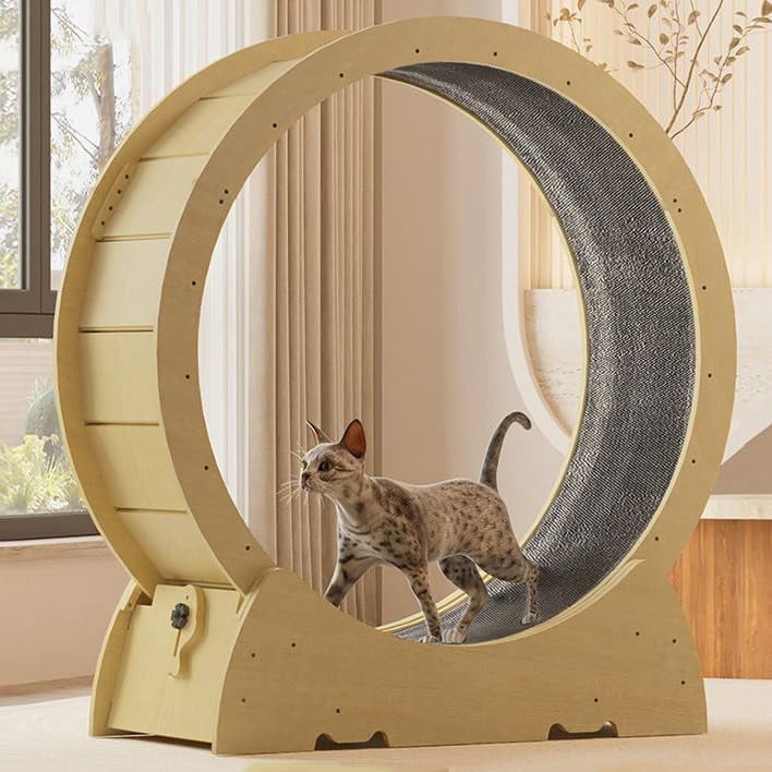 Cat Treadmill,Cat Running Wheel,Cat Spinning Wheel Exerciser with ...