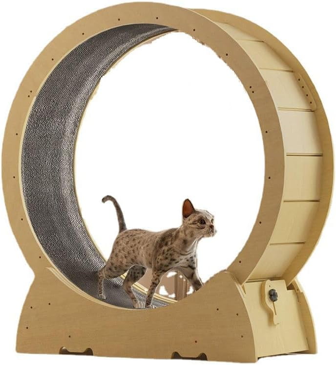 Cat Treadmill,Cat Running Wheel,Cat Spinning Wheel Exerciser with ...