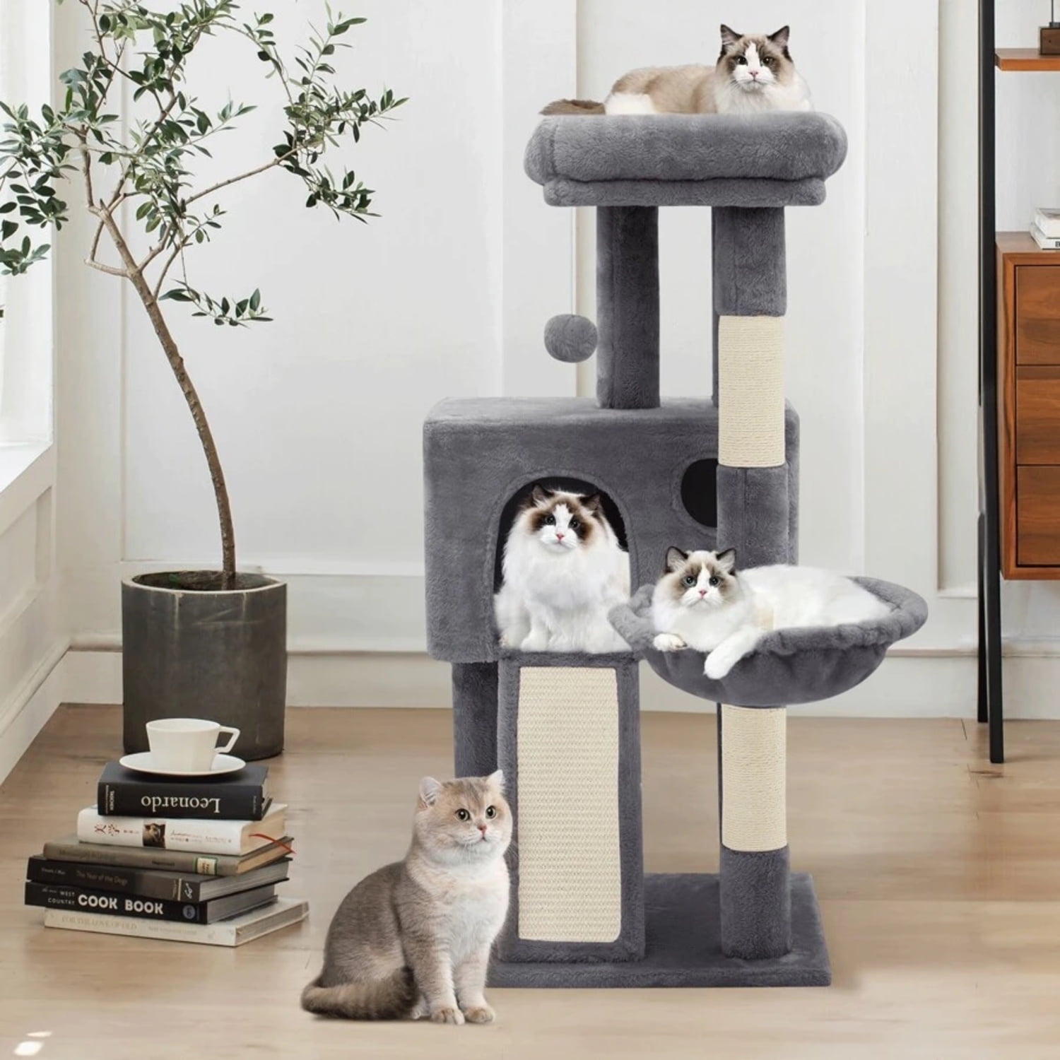 Cat Tree, 36 Inch Cat Tree Tower With Cat Condo, Small Cat Tower With ...