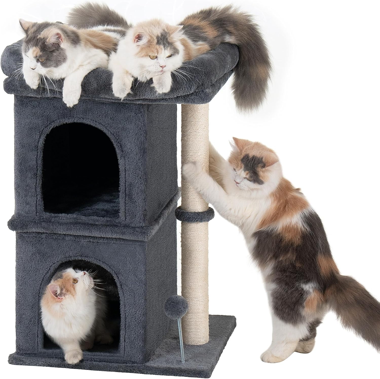 Cat Tree for Large Cat, 19 * 16.5In Large Cat Window Perch, Adult Cat ...