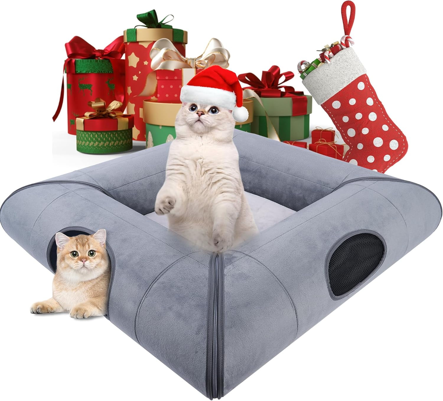 Cat Tunnel Bed for Indoor Cats,Metal-Free Design,Scratch-Resistant ...