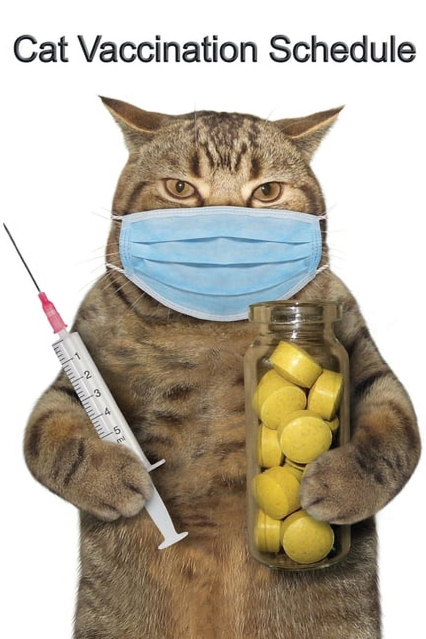 Cat Vaccination Schedule : Cat Kitten Vaccination Veterinary Log Book ...