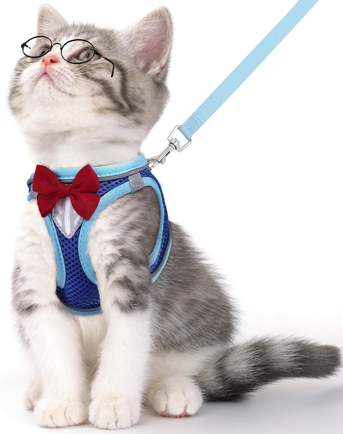 Cat Vest Harness and Leash Set for Walking Escape Proof, Adjustable ...