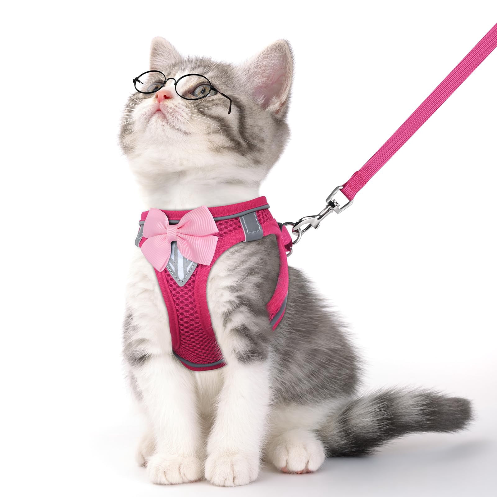 Cat Vest Harness and Leash Set for Walking Escape Proof, Adjustable ...