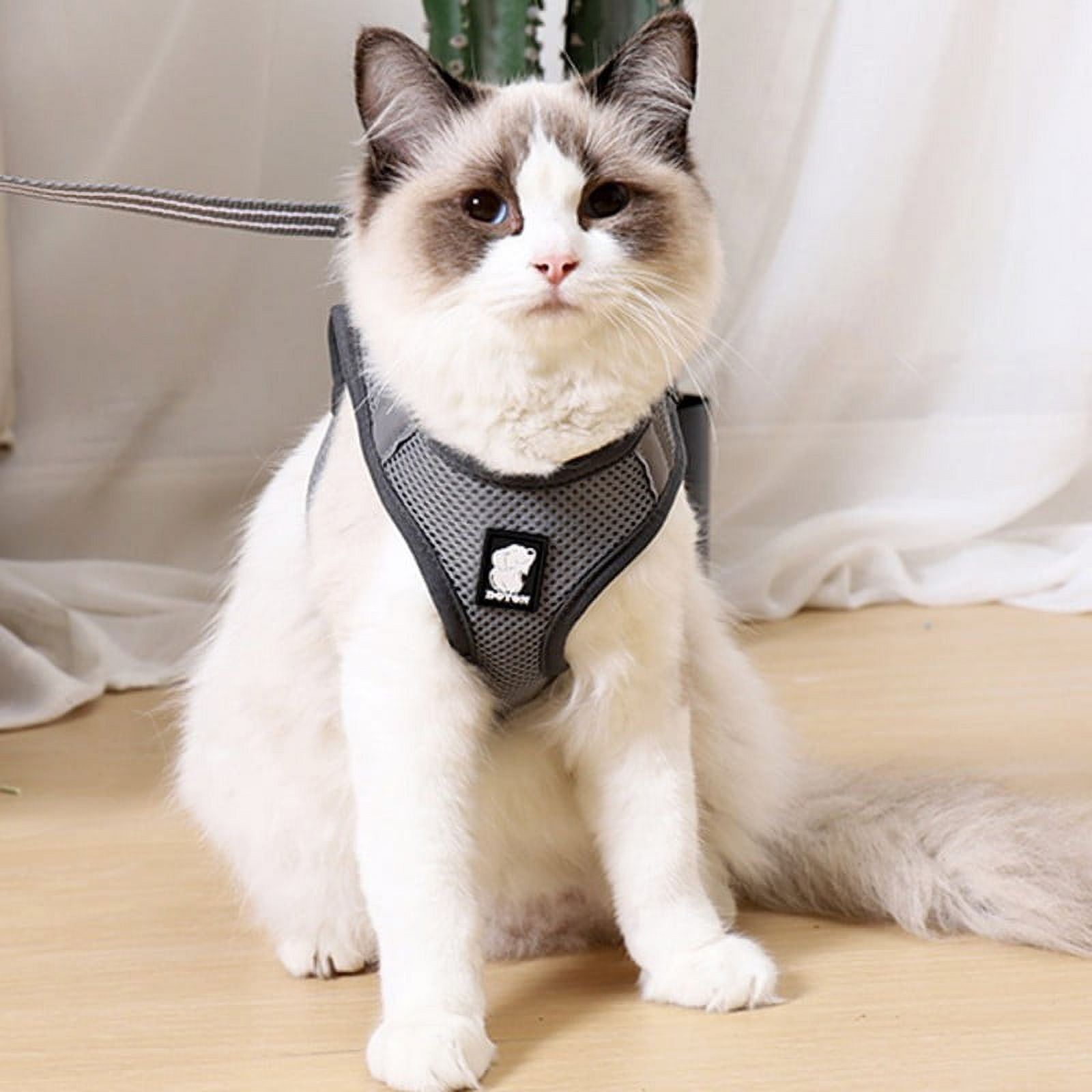 Cat Vest Harnesses Dog Harness With Leash Breathable And Anti-breakaway ...