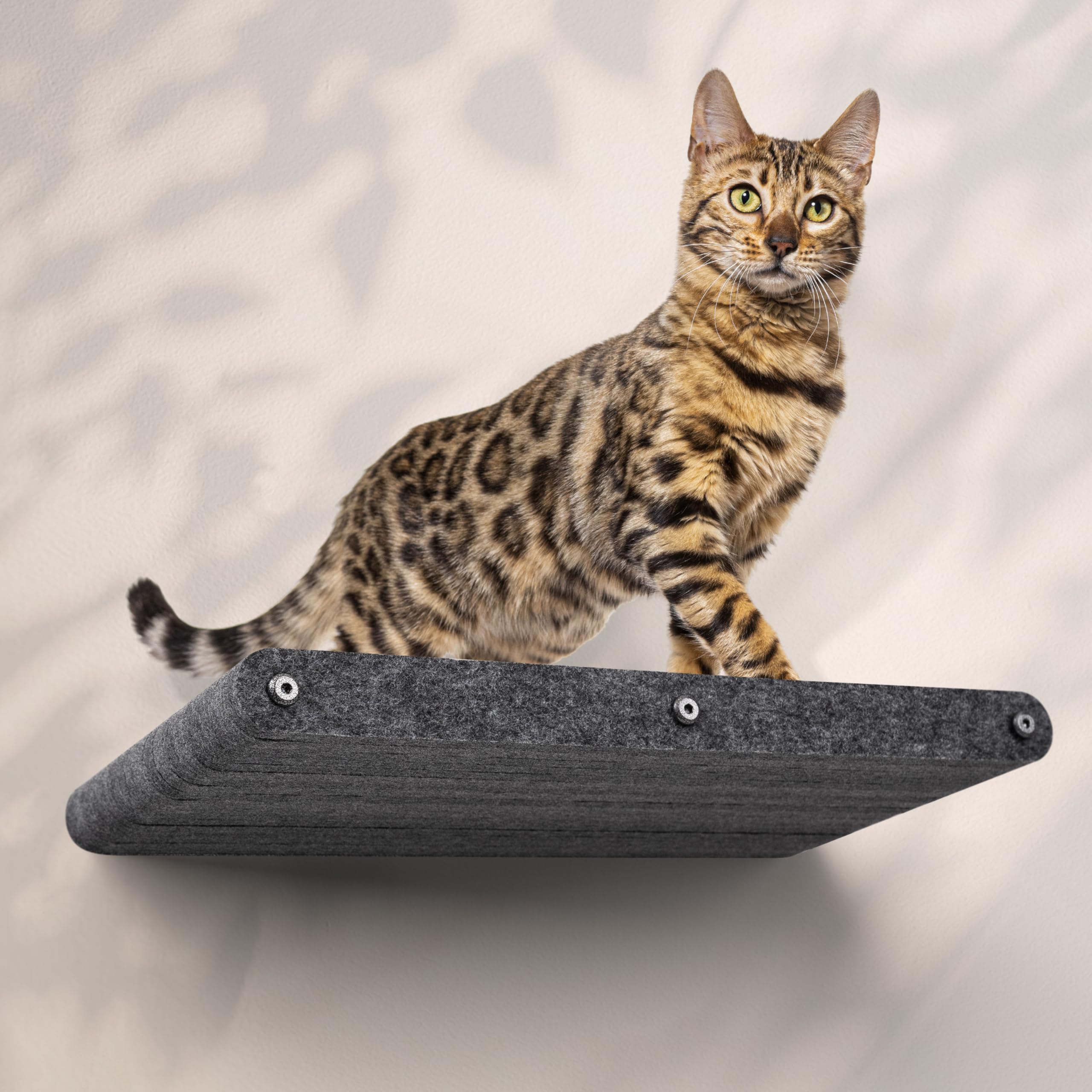 Cat Wall Bed by Pryde Pets, Perch and Cat Shelf for Wall - 100% PET ...