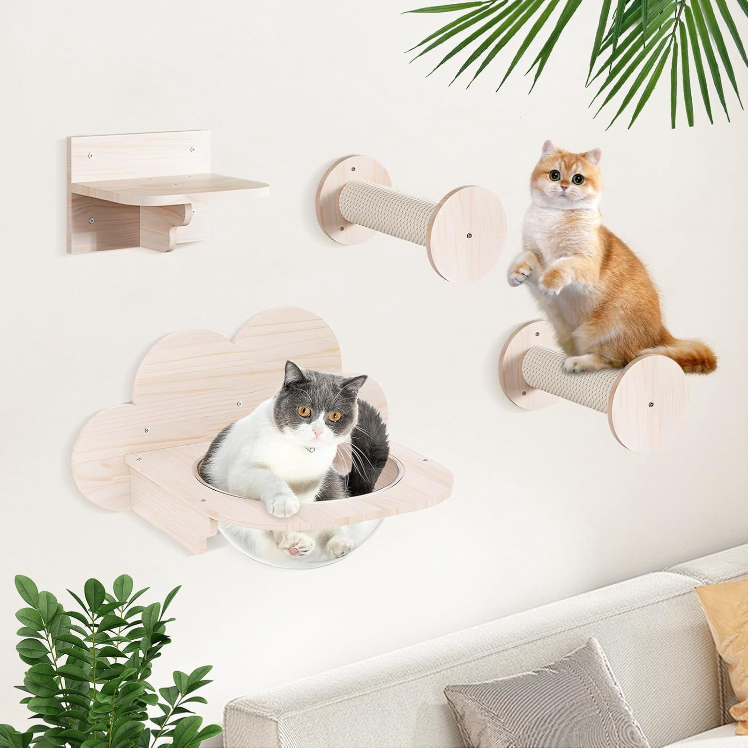 Cat Wall Furniture Set, Transparent Capsule Cat Wall Shelves with 2 Cat ...