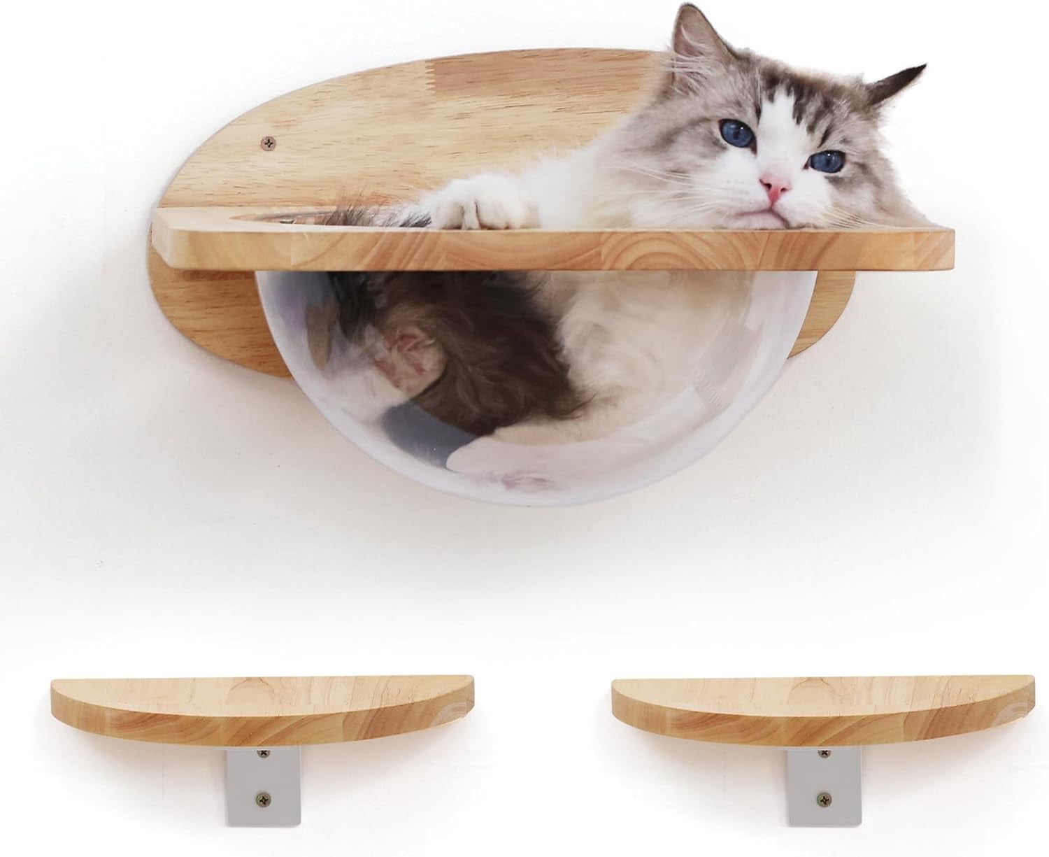 Cat Wall Furniture Set, Transparent Capsule Cat Wall Shelves with 2 PCS ...