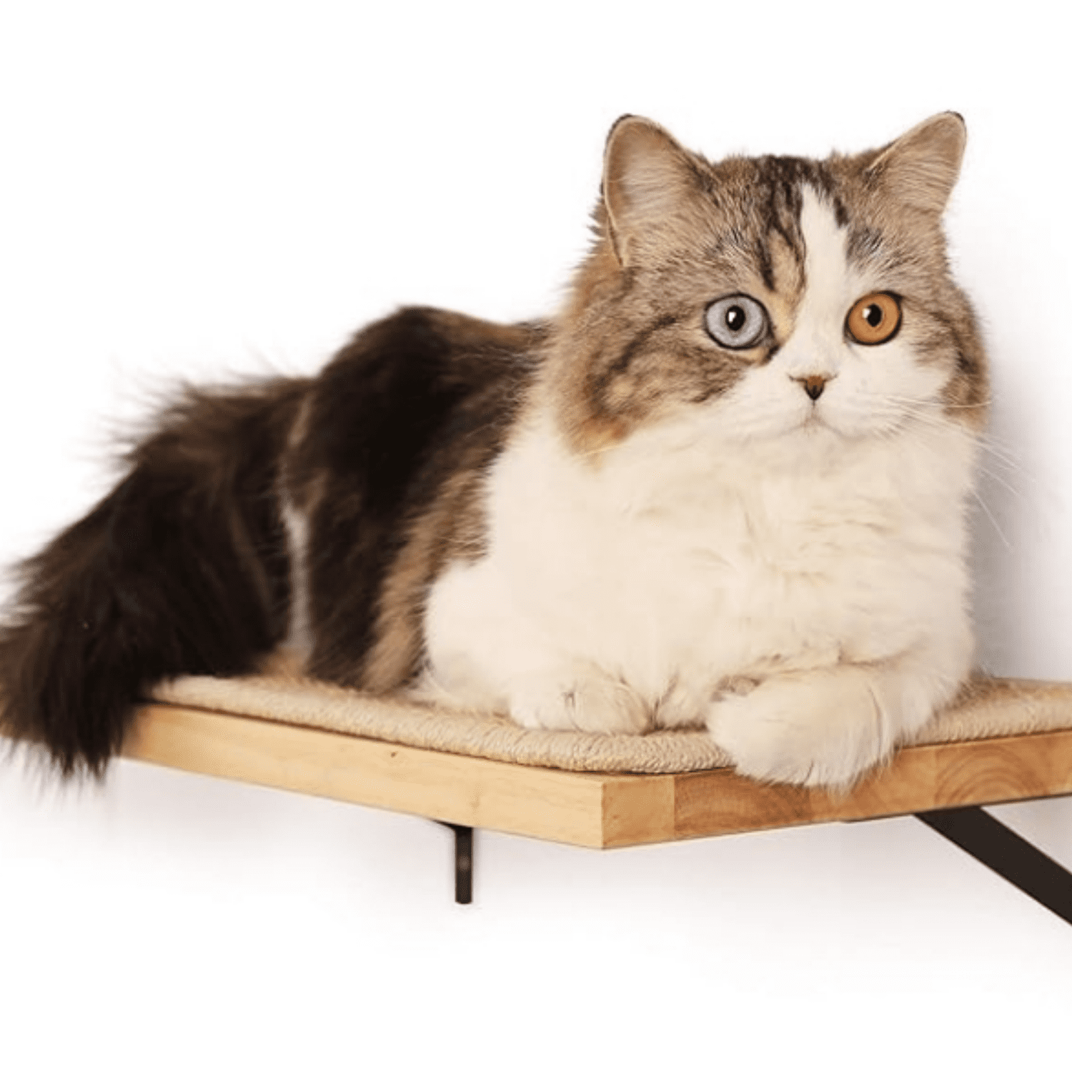 Cat Wall Shelves, 16 x 10 Inch Cat Wall Furniture with Sisal Mat, Solid ...
