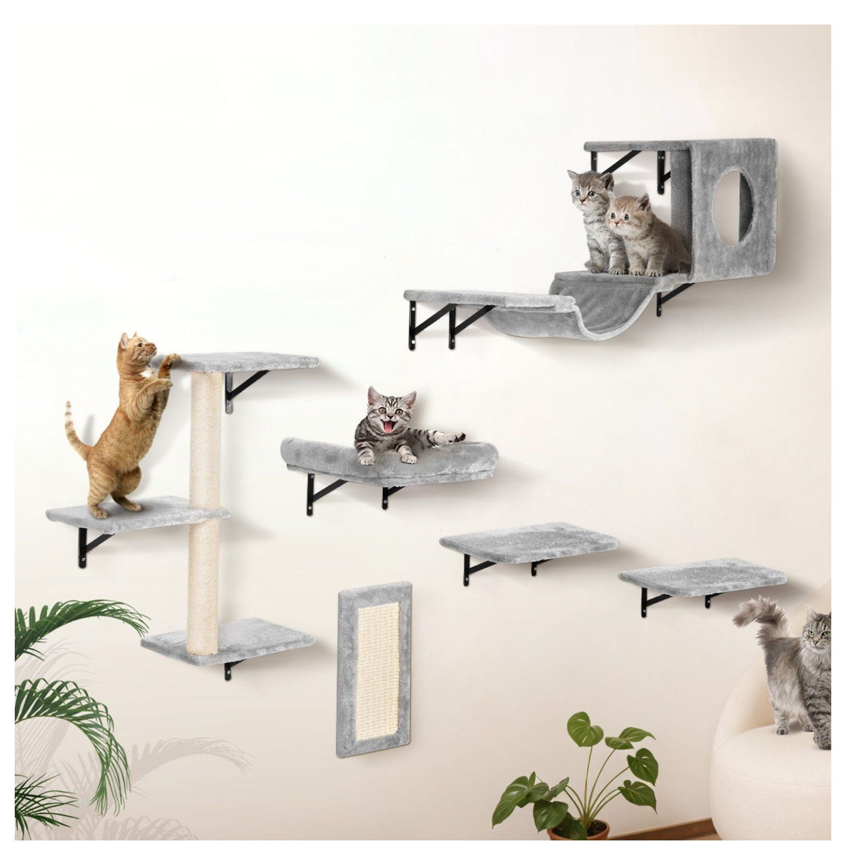 Cat Wall Shelves, 6 Pcs Cat Furniture Set, Wall Mounted Cat Perches ...
