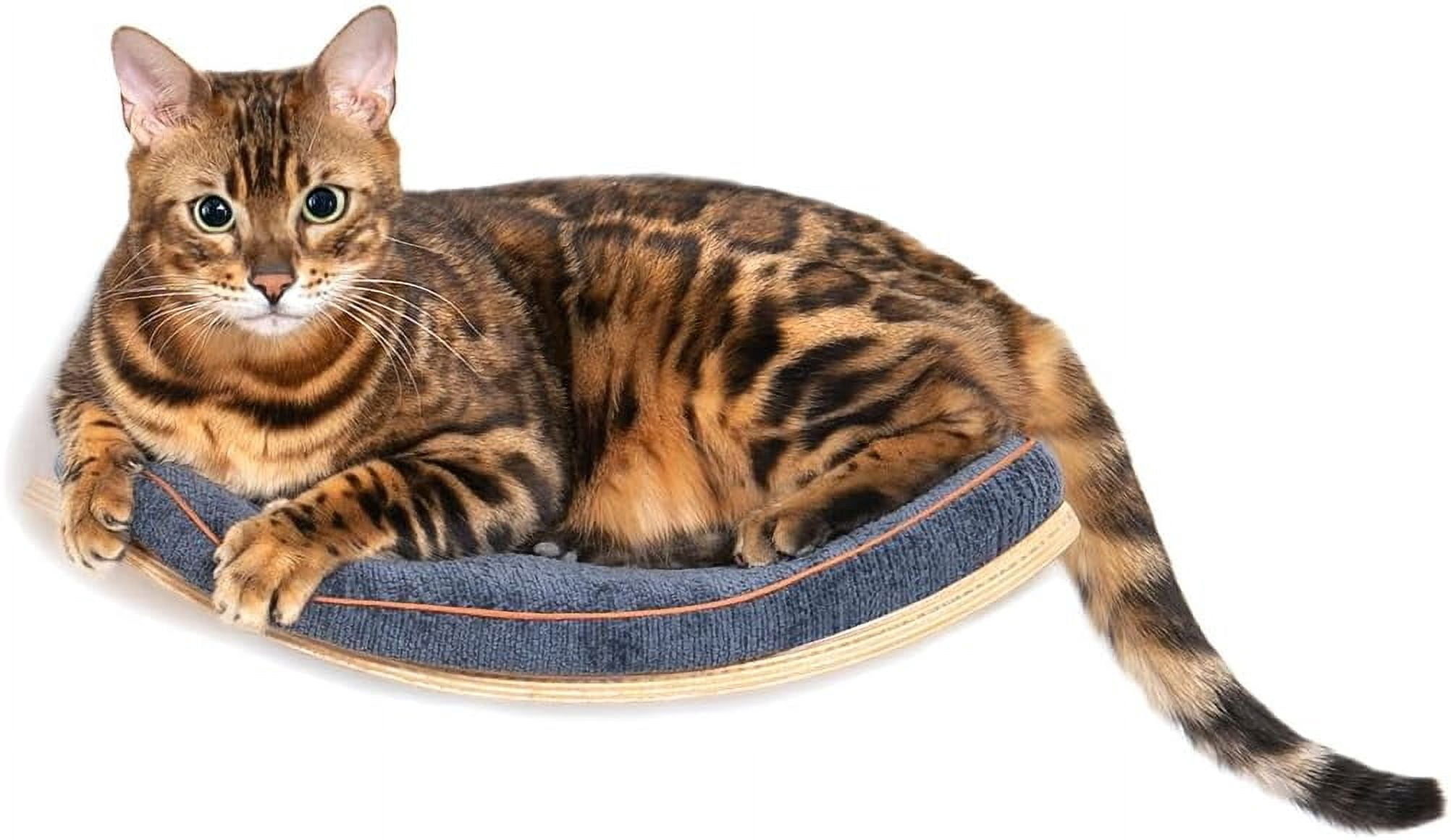 Cat Wall Shelves,Cat Wall Steps and Perch,Stairs,Ladders,Nest,Bed ...