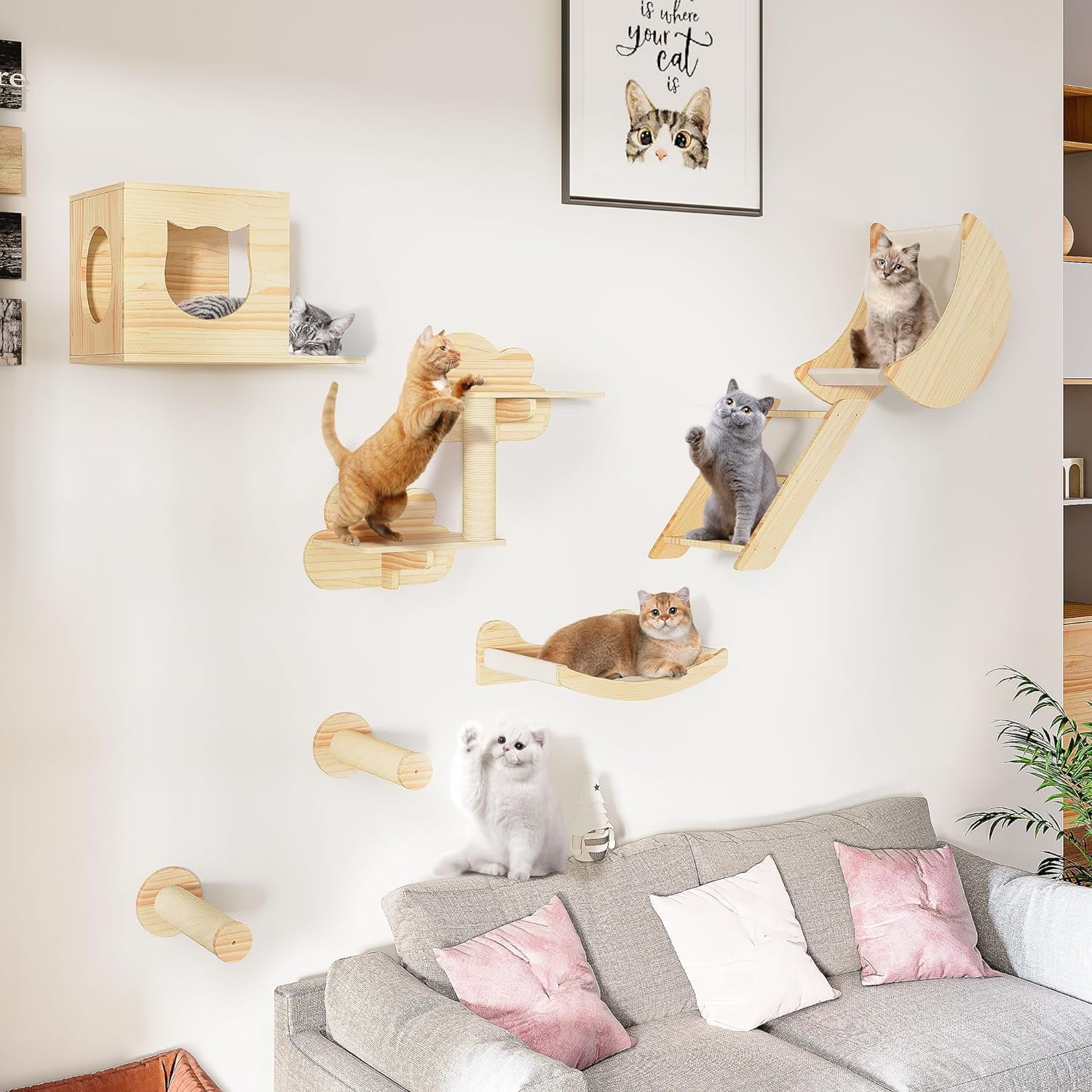 Cat Wall Shelves and Perches for Wall, Solid Wood Wall Mounted Cat ...