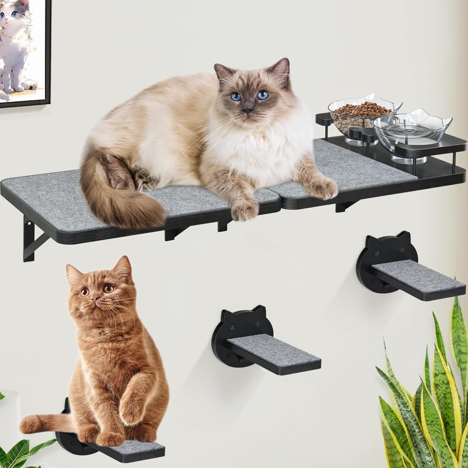 Cat Shelves For Wall Cat Wall Shelves W/Corner Shelf And 3 Steps, Easy ...