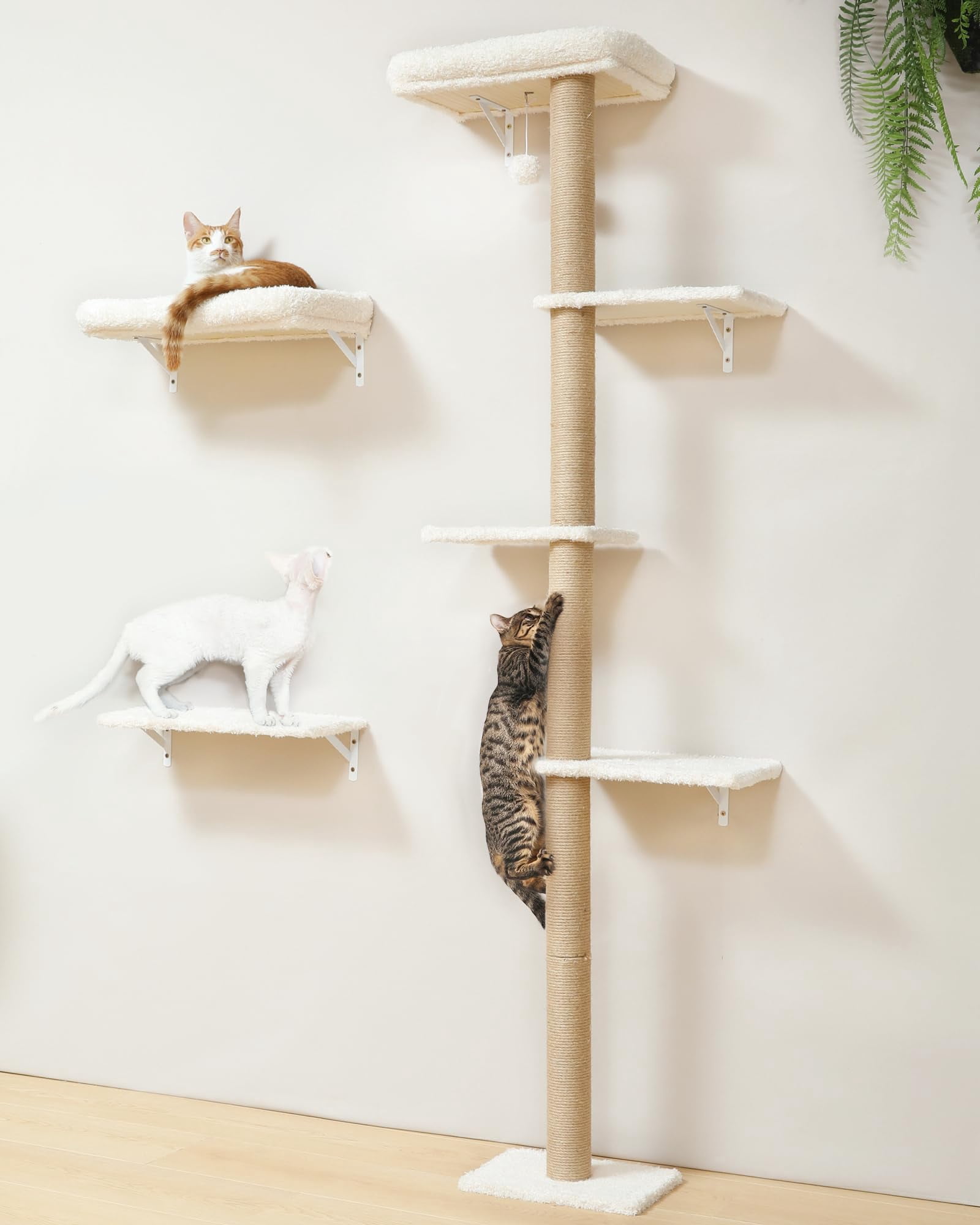 Cat Wall Shelves Set Beige Mounted Climbing Furniture with Soft Cushion ...