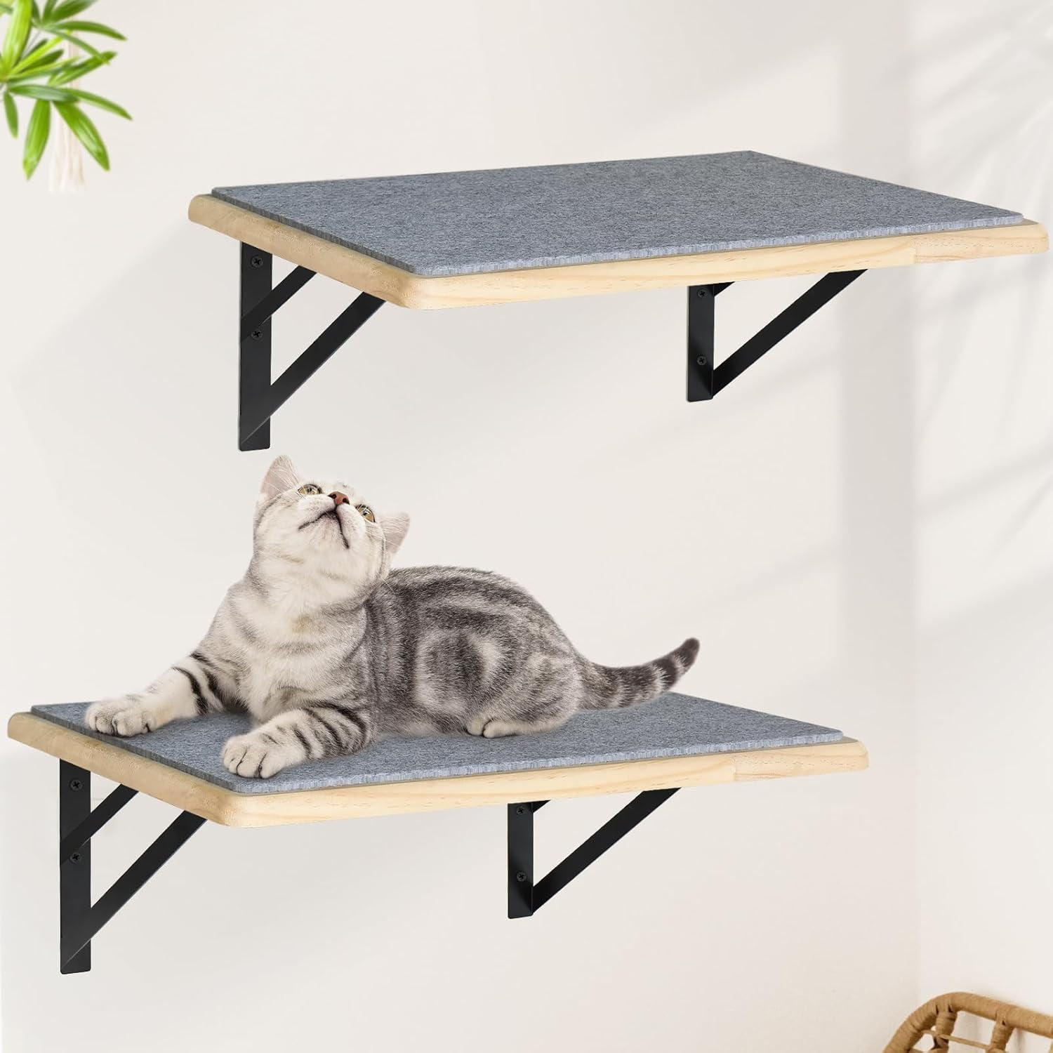 Cat Wall Shelves Set of , Wood Cat Shelves for Wall, Cat Wall Bed ...