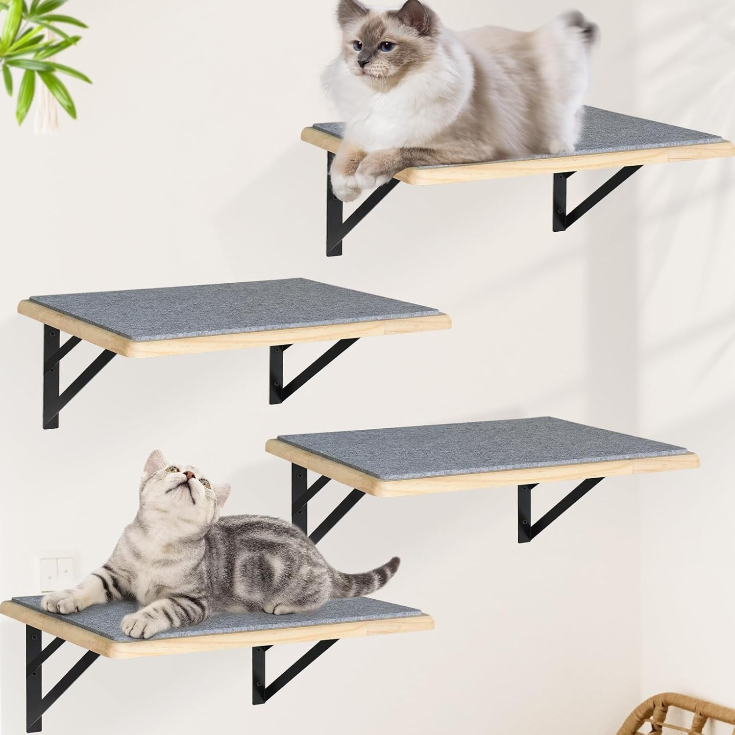 Cat Wall Shelves Set of , Wood Cat Shelves for Wall, Cat Wall Bed ...