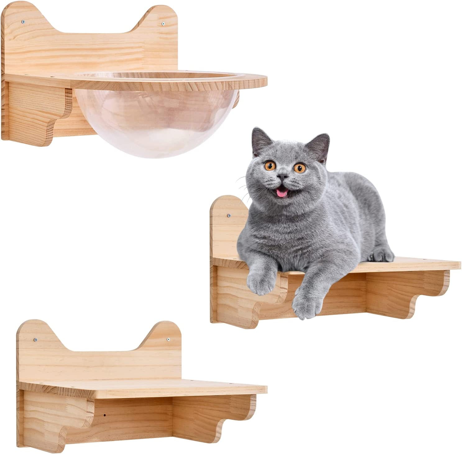 Cat Wall Shelves Wall-Mounted Wooden Cat Capsule Hammock Transparent ...