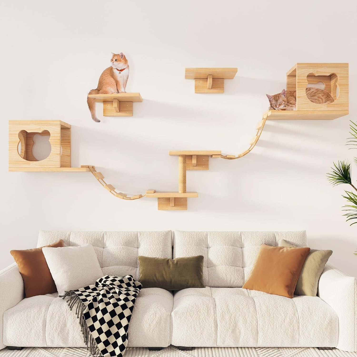 Cat Wall Shleves and Perches, Pine Wooden Cat Wall Furniture Climbing ...