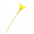 Cat Wand for Interactive Play,Cat Toy with Feather and Bell - Durable ...