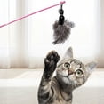Cat Wand Toy with Feathers, Interactive Fishing Pole Teaser with 35 ...