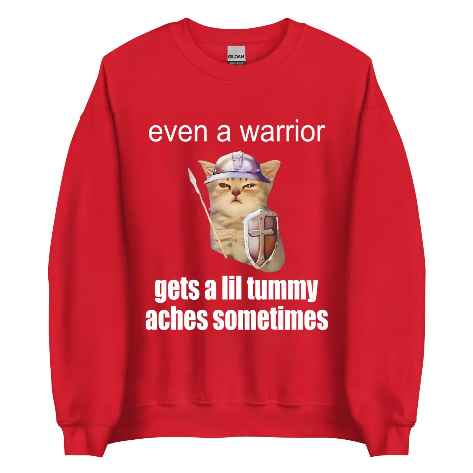 Cat Warrior Gets A Lil Tummy Aches Shirt, Size S - 3XL - Walmart.com