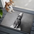 Cat Washable Entry Rug 2x3 Toilet Paper Funny Animal Low Pile Indoor ...
