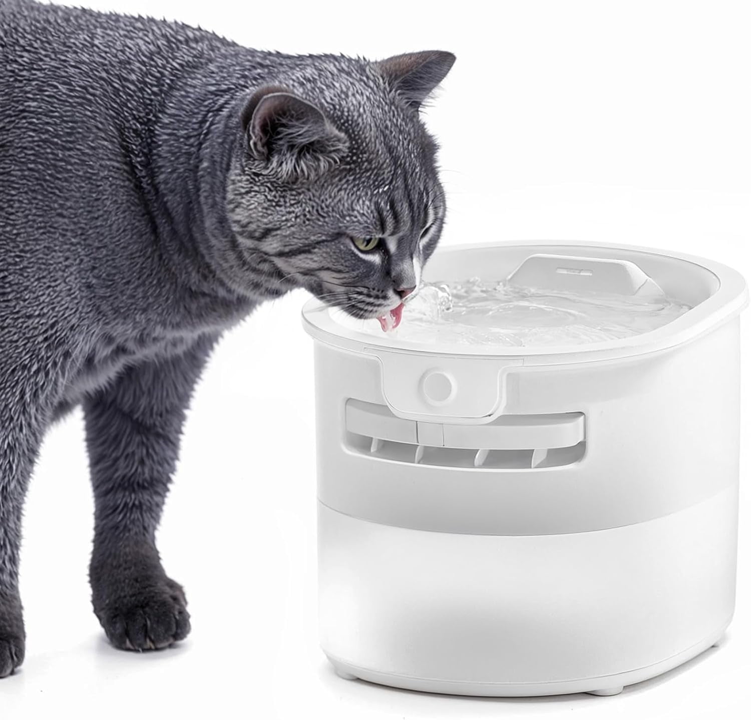 Cat Water Fountain 77.8Oz/2.3L Capacity Cat Fountain for Drinking - Pet ...