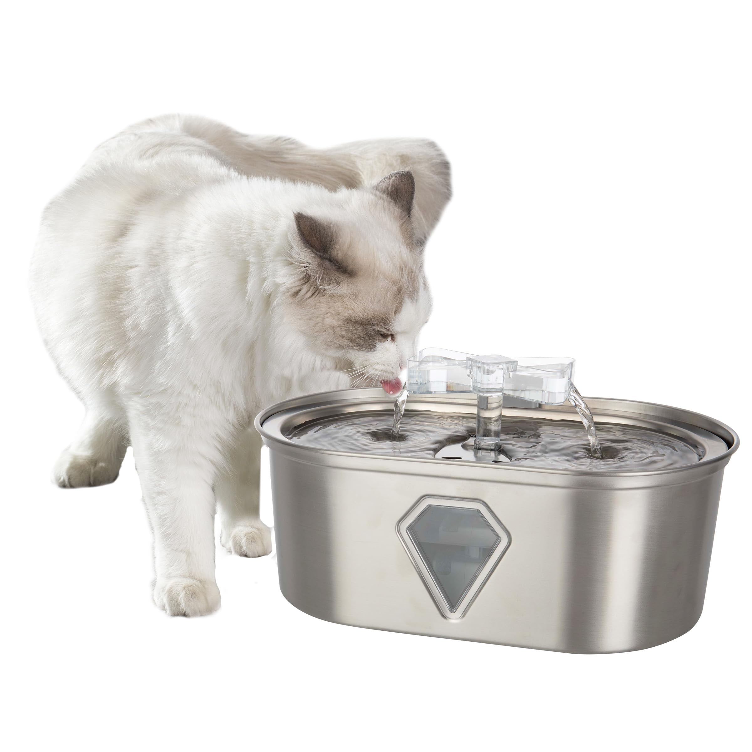 Cat Water Fountain - Stainless Steel Water Fountain for Small Pets ...